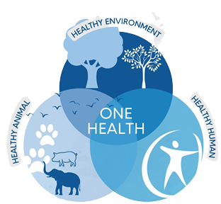 Centre For One Health-Kerala | COH-K